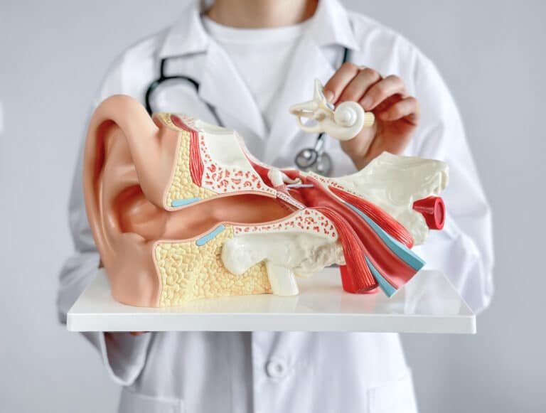 Understanding How Temporal Bone Tumors Impact Hearing | M.K. Larson ...